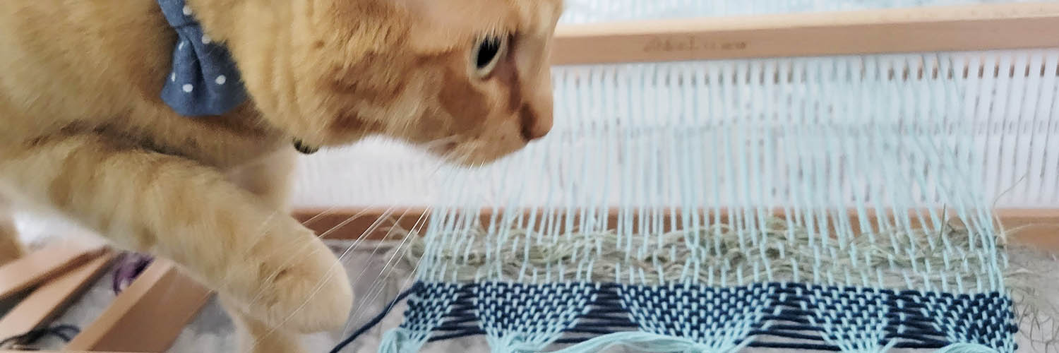 Weaving Spanish Moss - Quinn Dombrowski